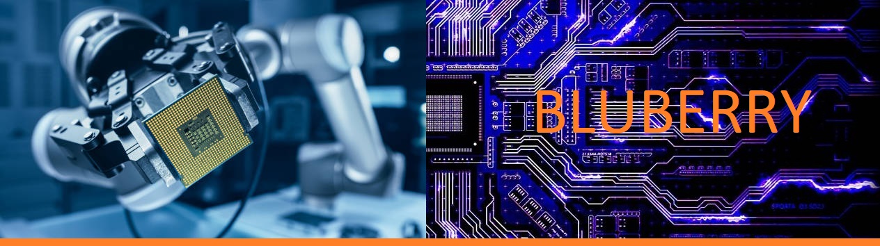 BluBerry - PIC Development Platform - HavenTechnik